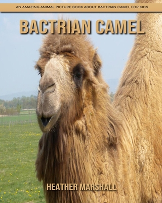 Bactrian camel: An Amazing Animal... book