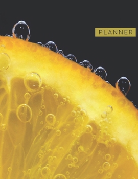 Planner: Orange 2 Year Weekly Planning... book