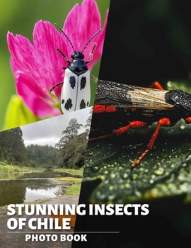 Stunning Insects Of Chile Photo Book:... book