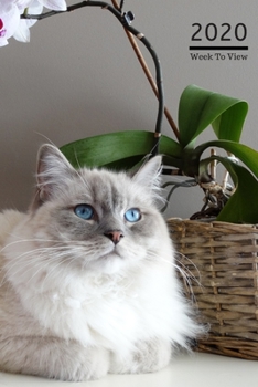 2020 A5 Diary Week To View Planner For... book