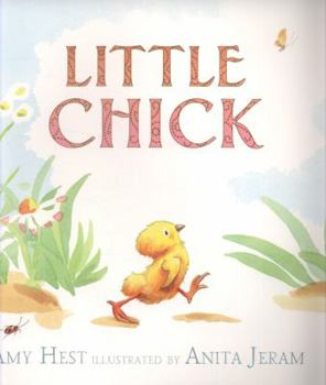 Little Chick book by Amy Hest