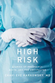 High Risk book by Chavi Eve Karkowsky