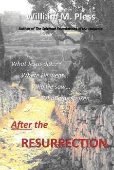After the Resurrection: What Jesus... book by William M. Pless